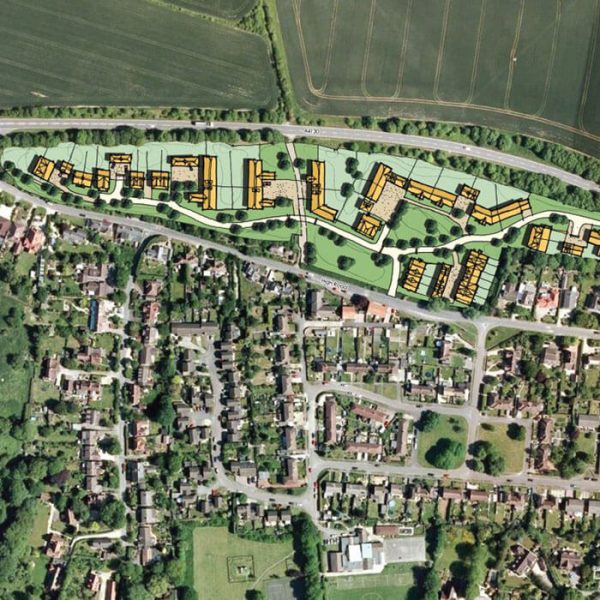 Brightwell-Cum-Sotwell, South Oxfordshire - Barberry