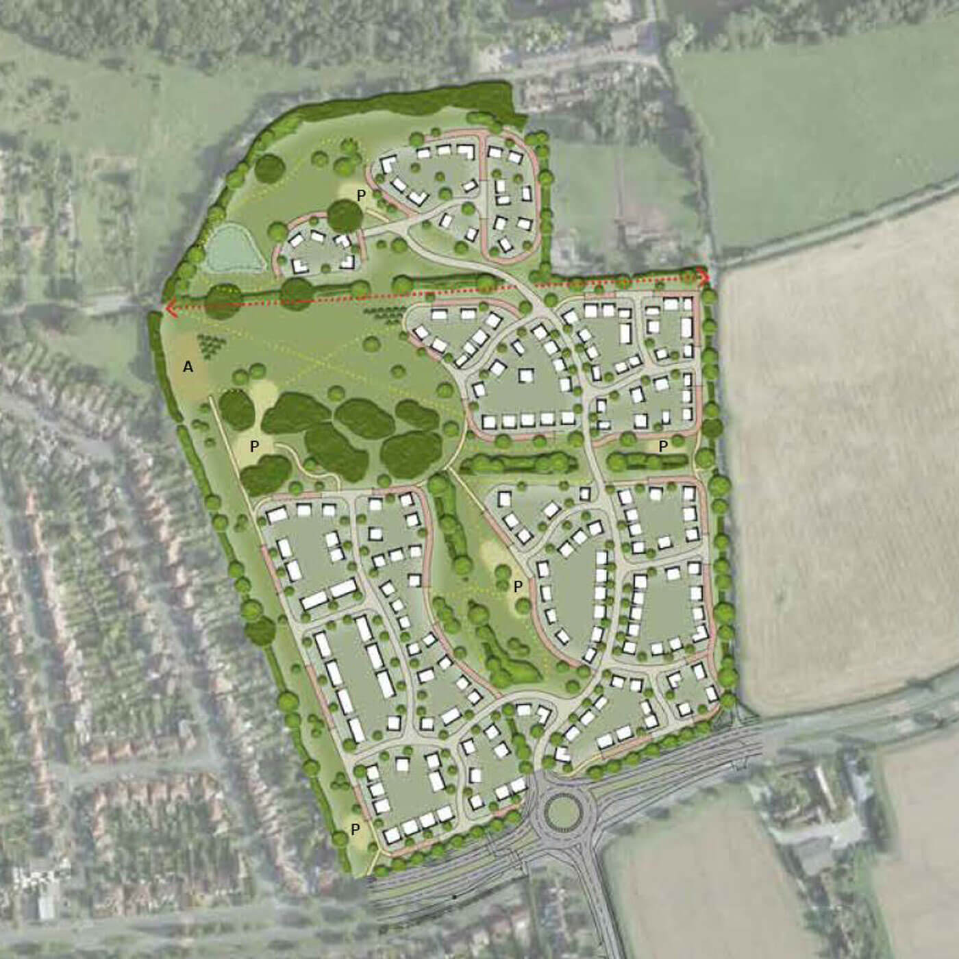 Hurcott Lane,Kidderminster - Barberry